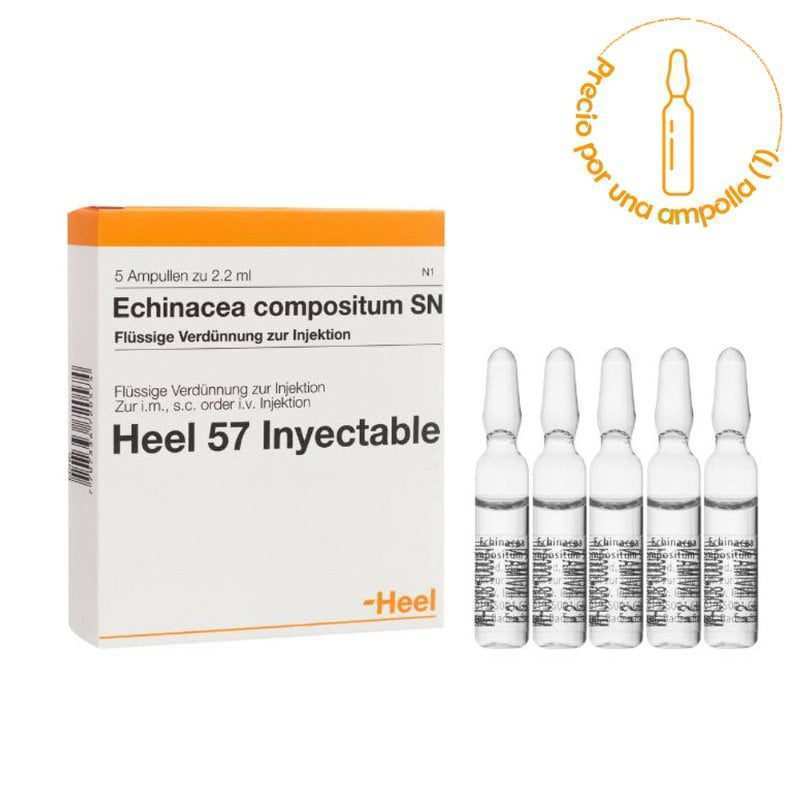 ECHINACEA COMPOSITUM AMPOLLA HEEL - Farmacia Homeopática Mundienlace ...