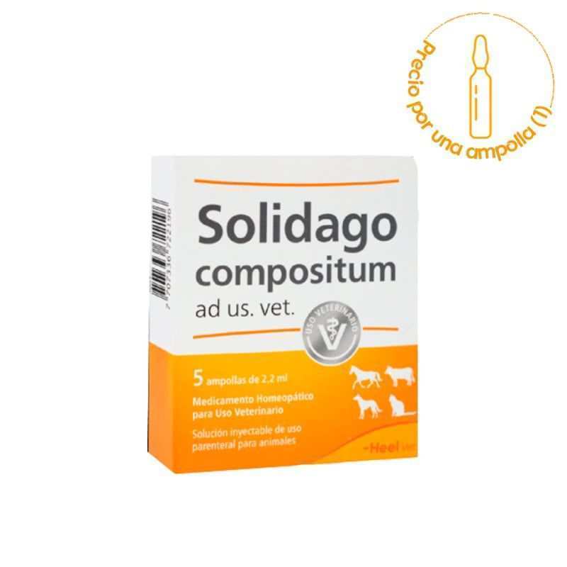 SOLIDAGO COMP VETERINARIA AMP HEEL