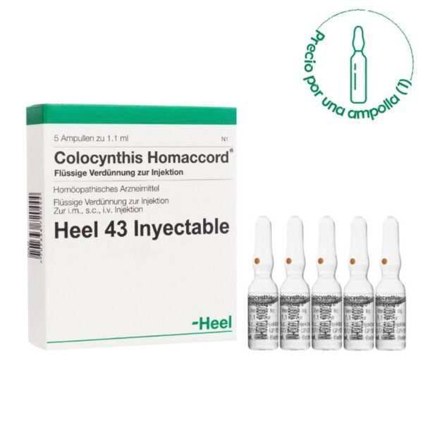 COLOCYNTHIS HOMACCORD AMPOLLA HEEL - Farmacia Homeopática Mundienlace ...