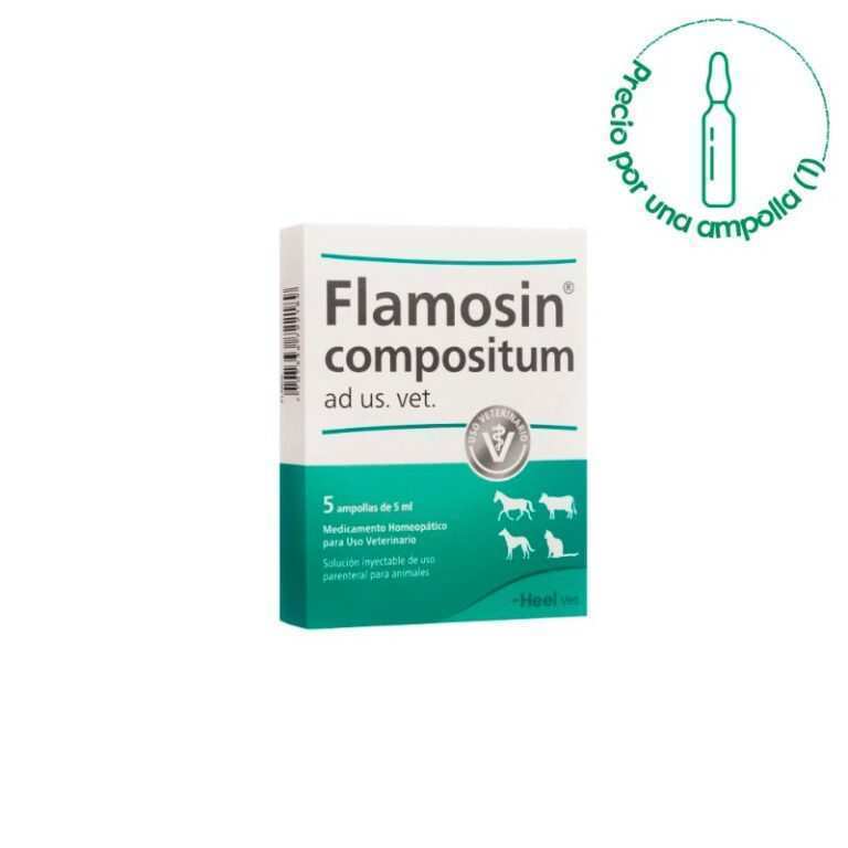 FLAMOSIN COMP VETERINARIA AMP HEEL